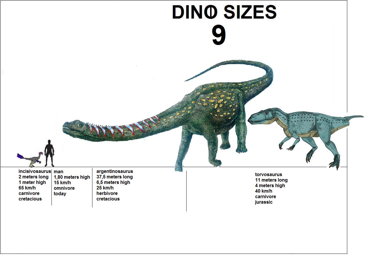 RIKANDUM: DINO SIZES (CONTINUAÇÃO)!!!