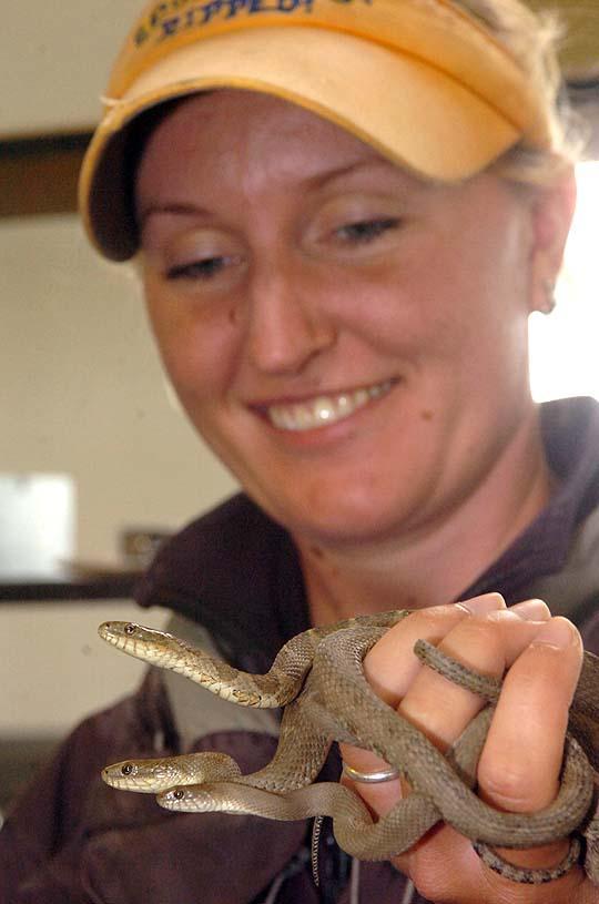 Most Amazing Photos from the World Cultures: Snakes alive! And she ...