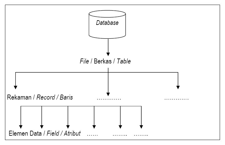 Database