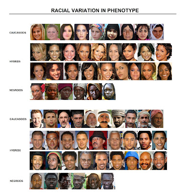 Mixed White Advocate: Jun 20, 2010