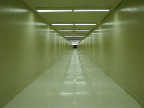 Garden Full of Lily: The Looooong Hallway