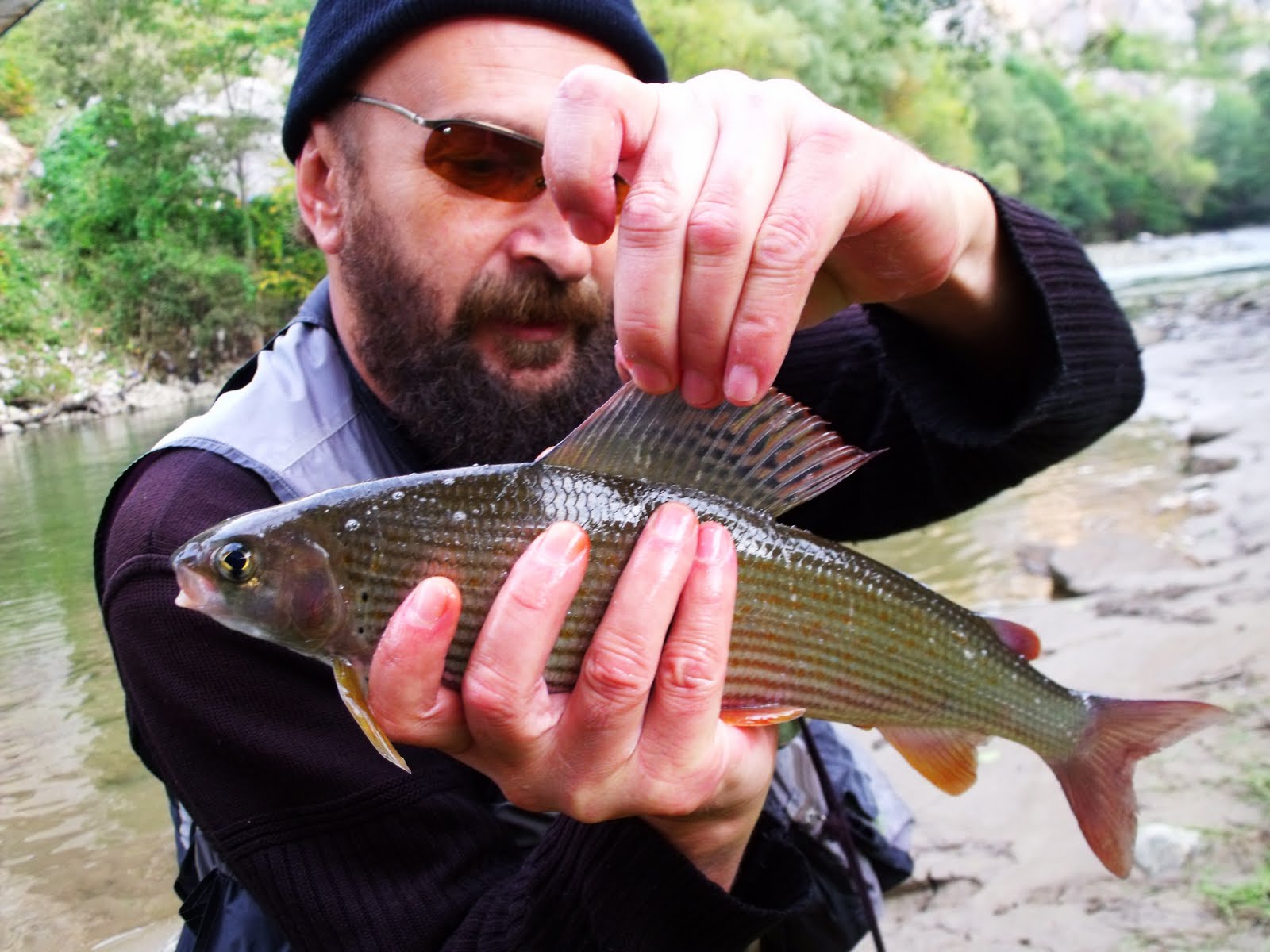 fly-fishing cu davidco_m: lipan 40+ prins si eliberat de bobfly