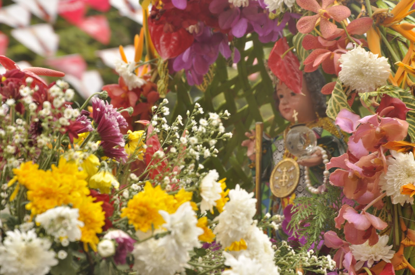 Davao Pictures | Davao Photos - POTOGRAPIYA DABAW