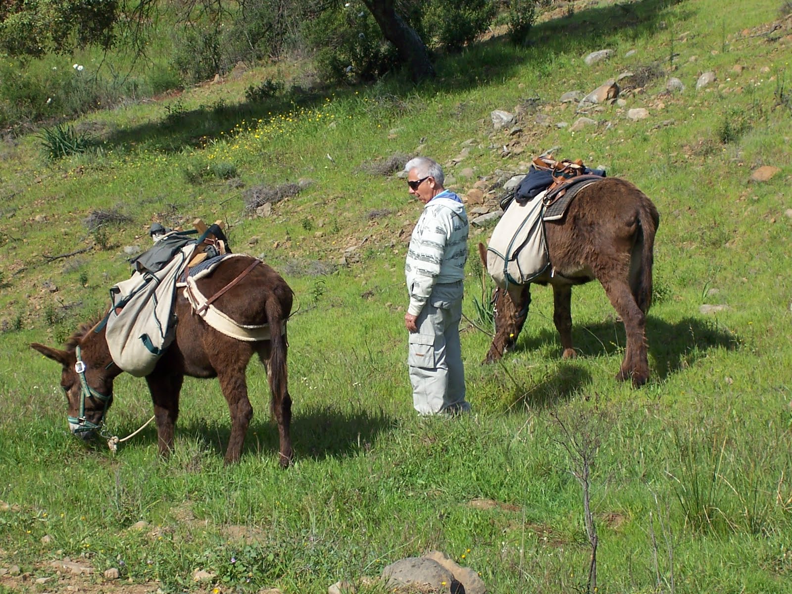 donkey hiking & trekking algarve