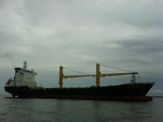 THROUGH THE WAVES: M.V Bunga Mas 5 - from merchant ship to naval ...