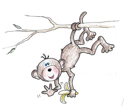 Narración 2010-11: Perezoso y el sapo. Manuel Marqués.