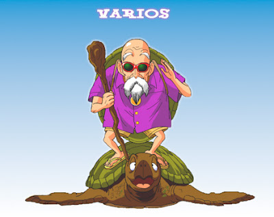 zona ssj: maestro Rochi