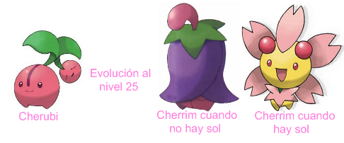 Poke-Rincón: Cherrim