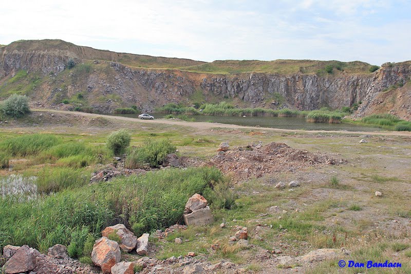 Dan din Delta Dunării: PASAREA OGORULUI SI CARIERA ZEBIL