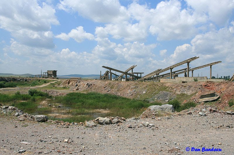 Dan din Delta Dunării: PASAREA OGORULUI SI CARIERA ZEBIL