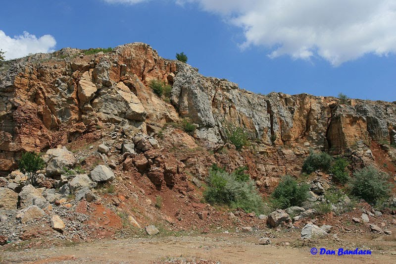 Dan din Delta Dunării: PASAREA OGORULUI SI CARIERA ZEBIL