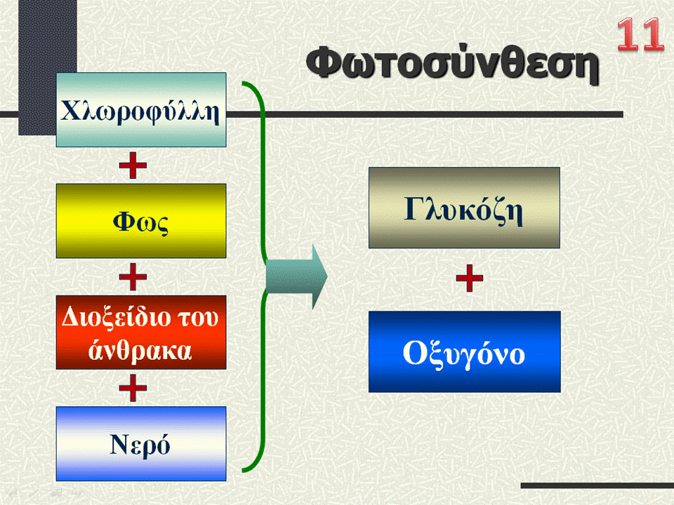 ΧΡΩΜΑΤΟΠΟΙΟΙ: ΦΩΤΟΣΥΝΘΕΣΗ