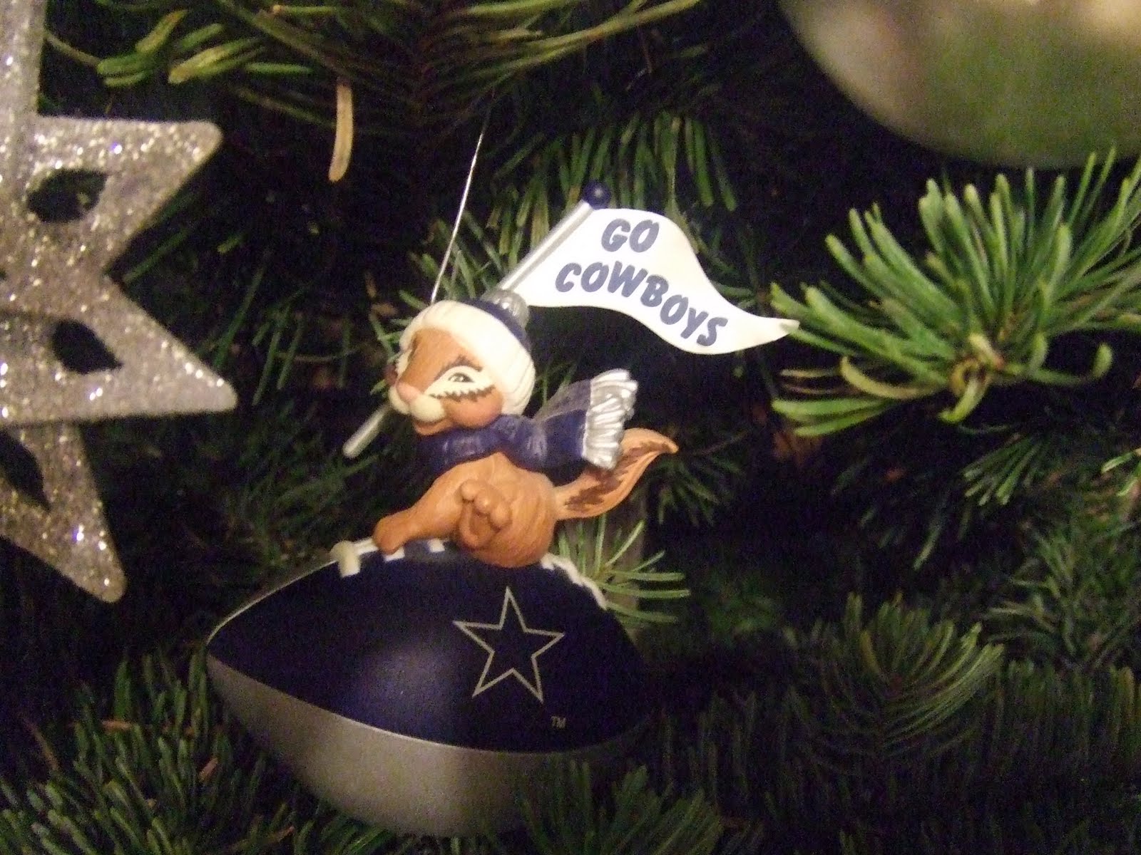 Paw Print Diaries: Our Christmas Tree - Dallas Cowboys