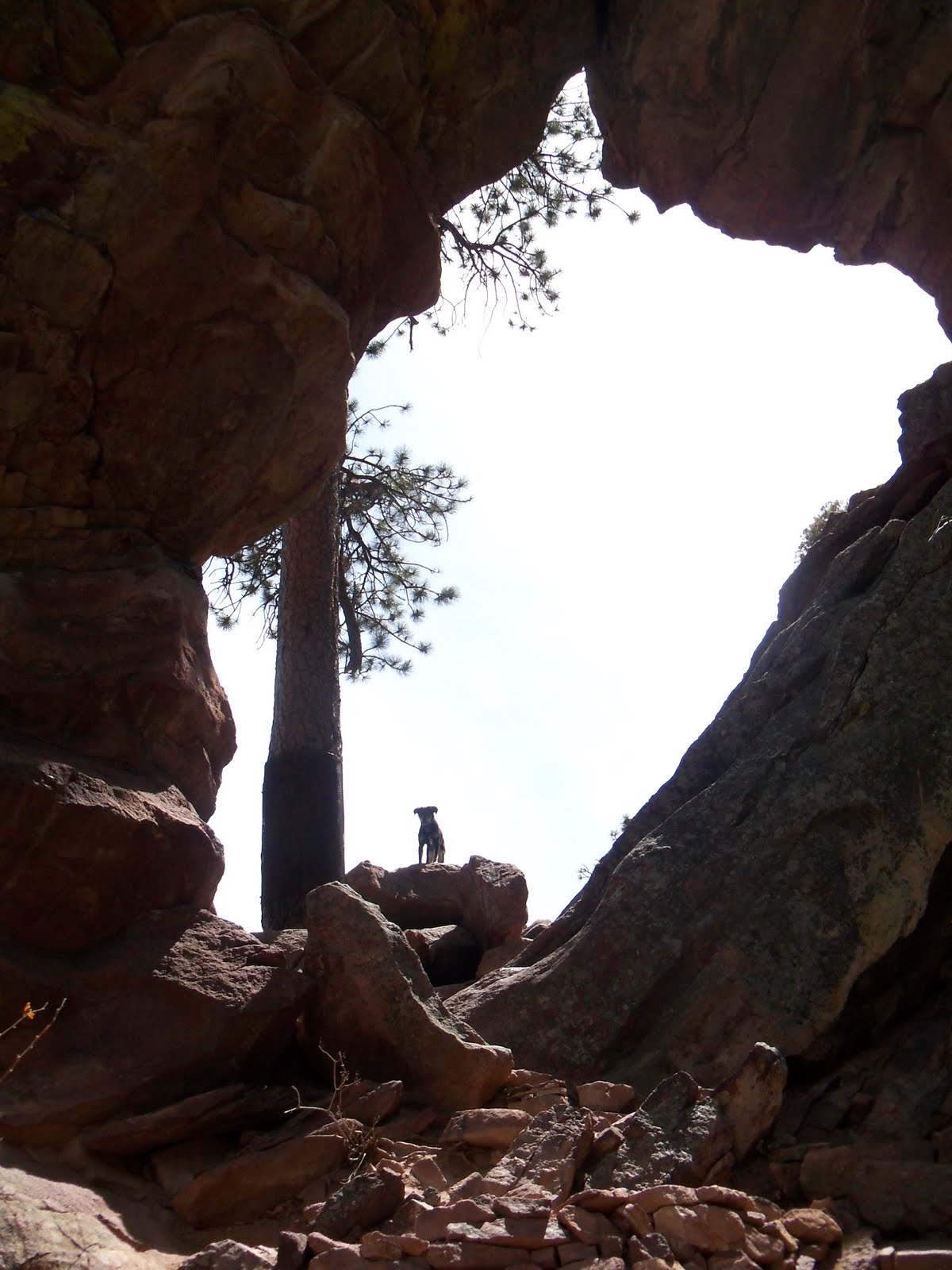 Trail and Park Reviews: Royal Arch in Boulder Colorado