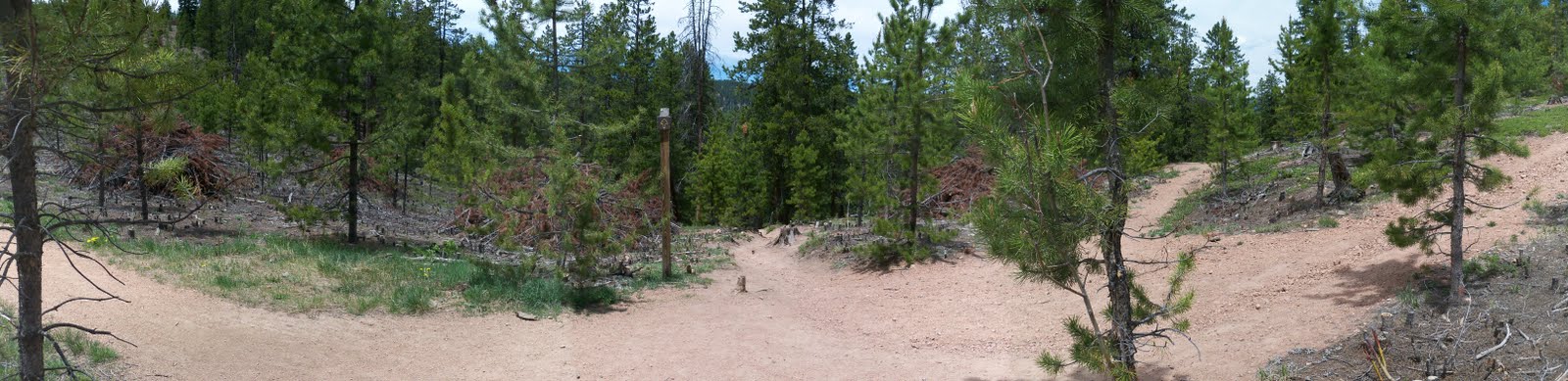 Trail and Park Reviews: Lower Maxwell Falls in Evergreen, Colorado