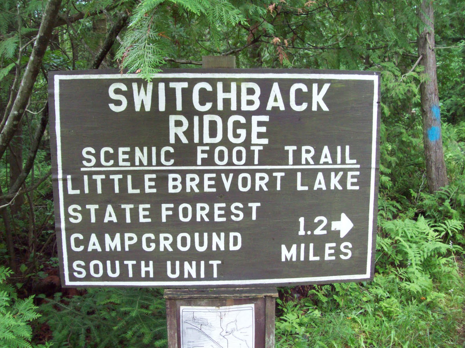 Trail and Park Reviews: Road Trip Day 4; Switchback Ridge Scenic Foot ...