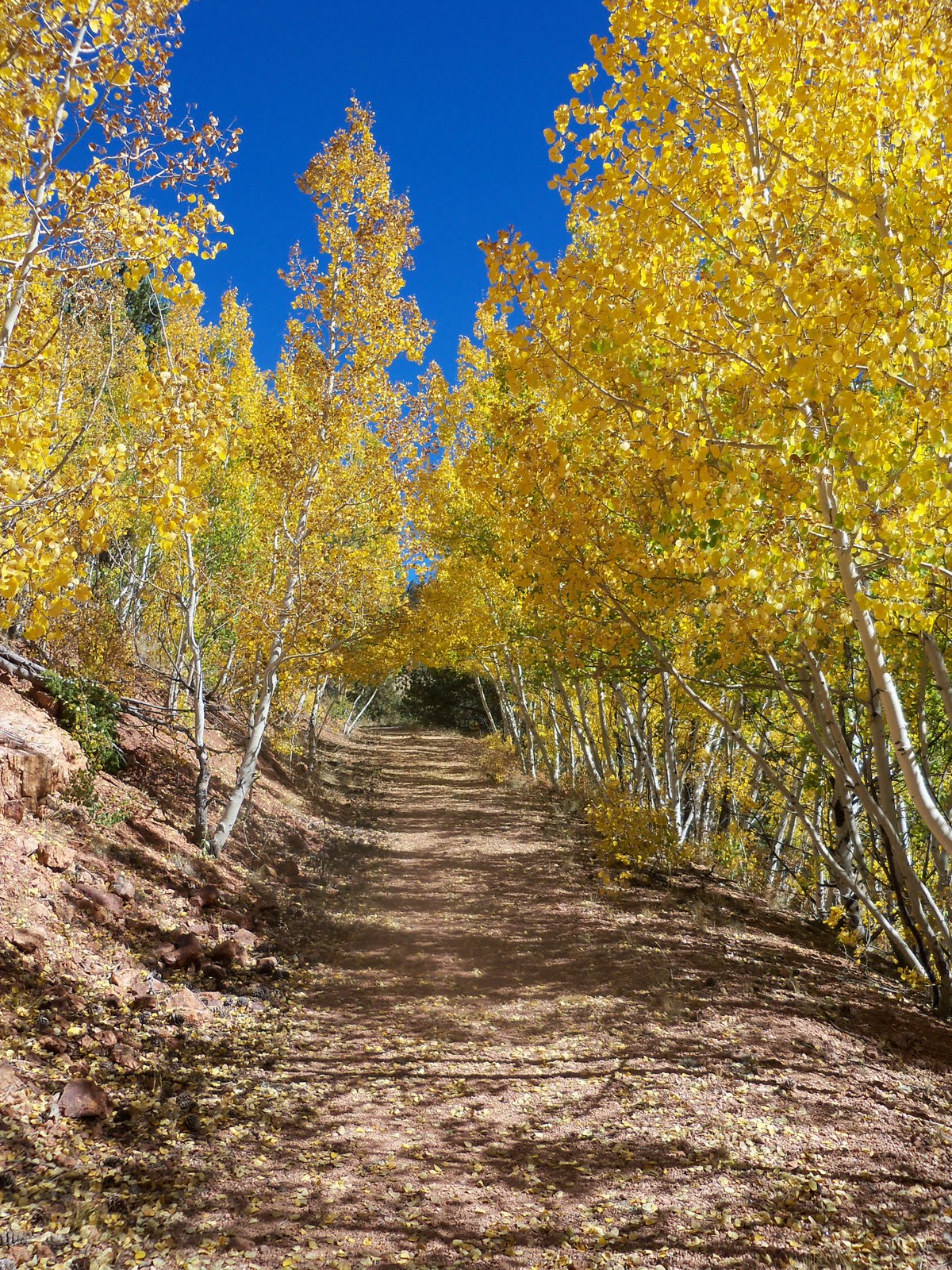 Trail and Park Reviews: Fall colors are nearing their peak in the Rocky ...