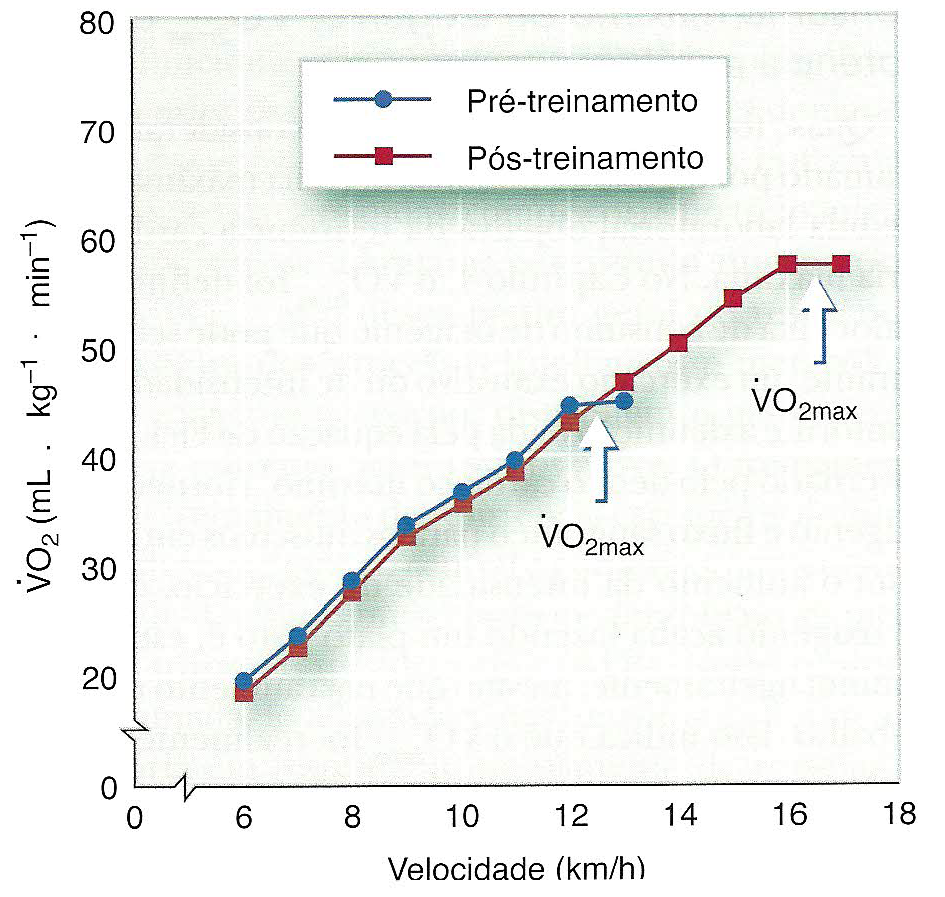 Níkolas Cargas de Treinamento Esportivo: VO2 Máximo & Adaptações