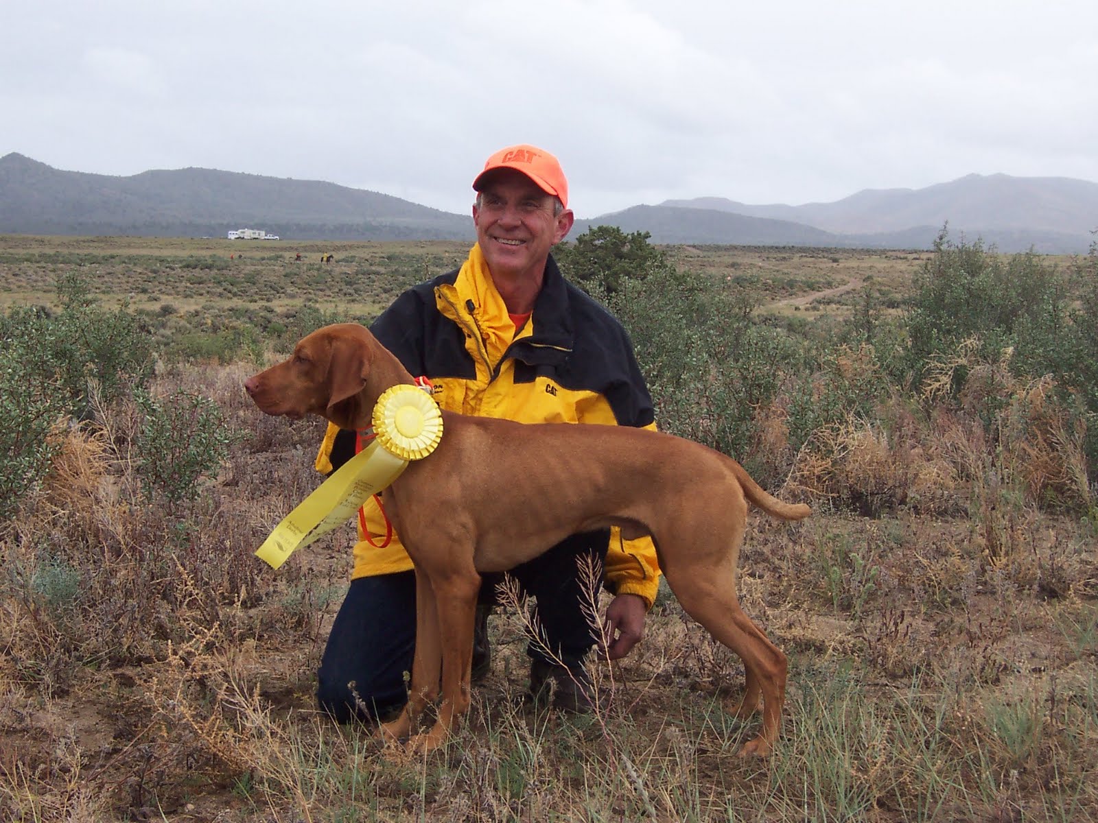 redbirddog - a hungarian pointer (vizsla) blog: Why Field Trials?