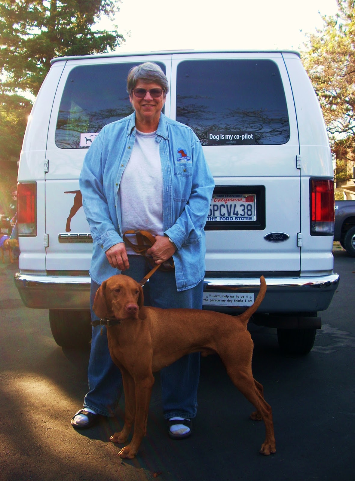 redbirddog - a hungarian pointer (vizsla) blog: The Alpha Female of ...