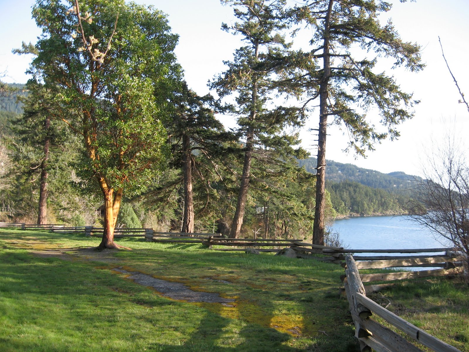 Orcas Island Blog - Inn at Ship Bay: Spring