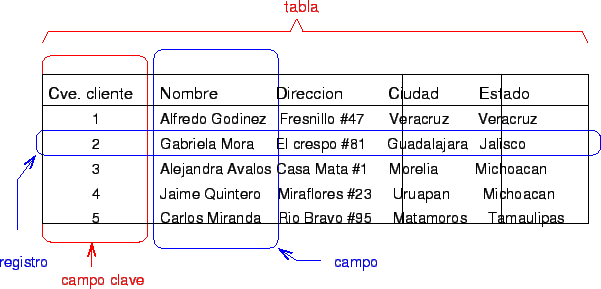 BASE DE DATOS: COMPONENTES DE LAS BASES DE DATOS