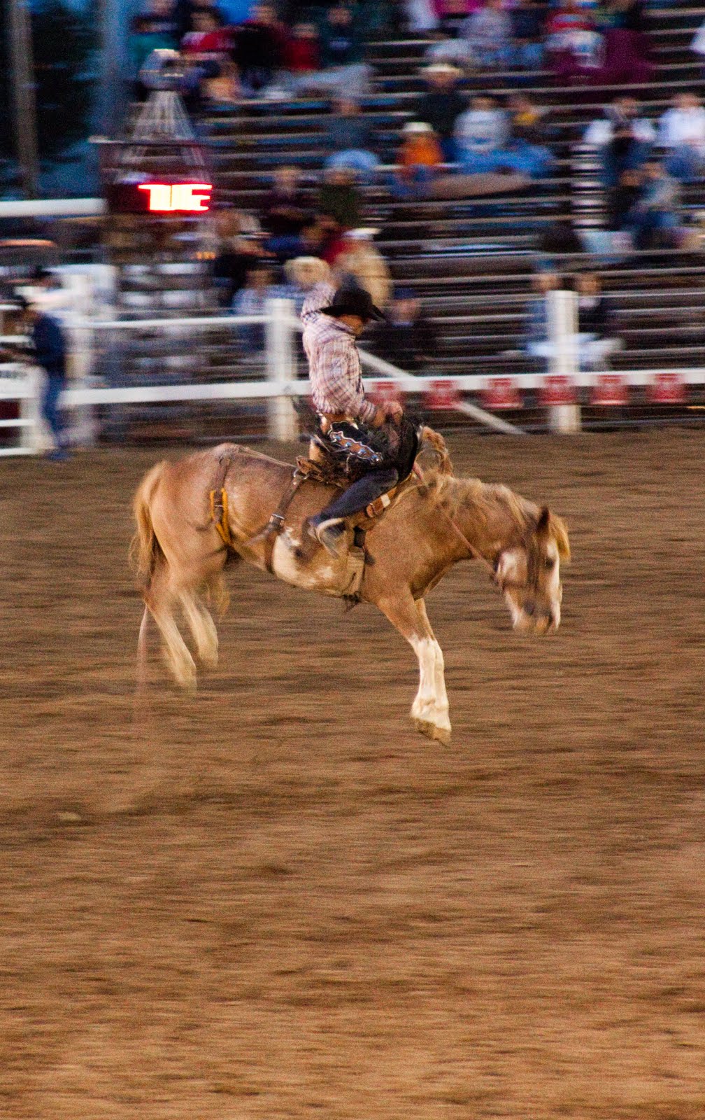 My Musings: Rodeo Season