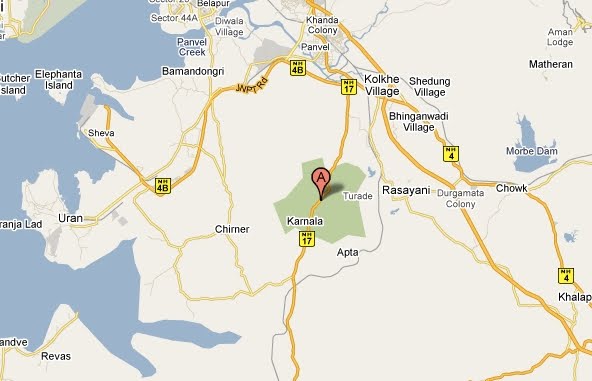 Aggressive Opinions: BIRDING TRAILS : KARNALA - URAN ROAD - NAVI MUMBAI ...