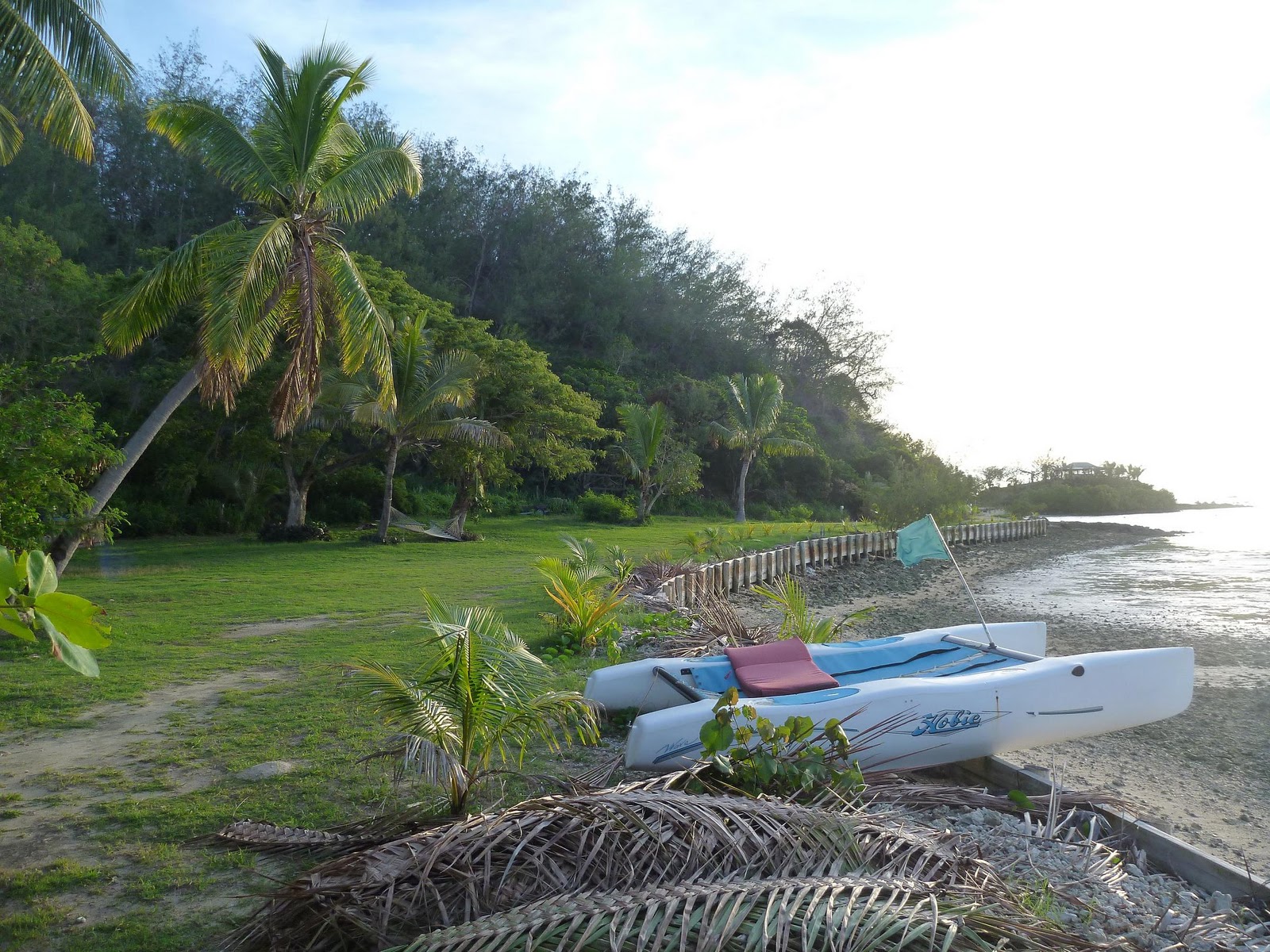 Bobo's Big Adventure: Fiji Pictures!!!