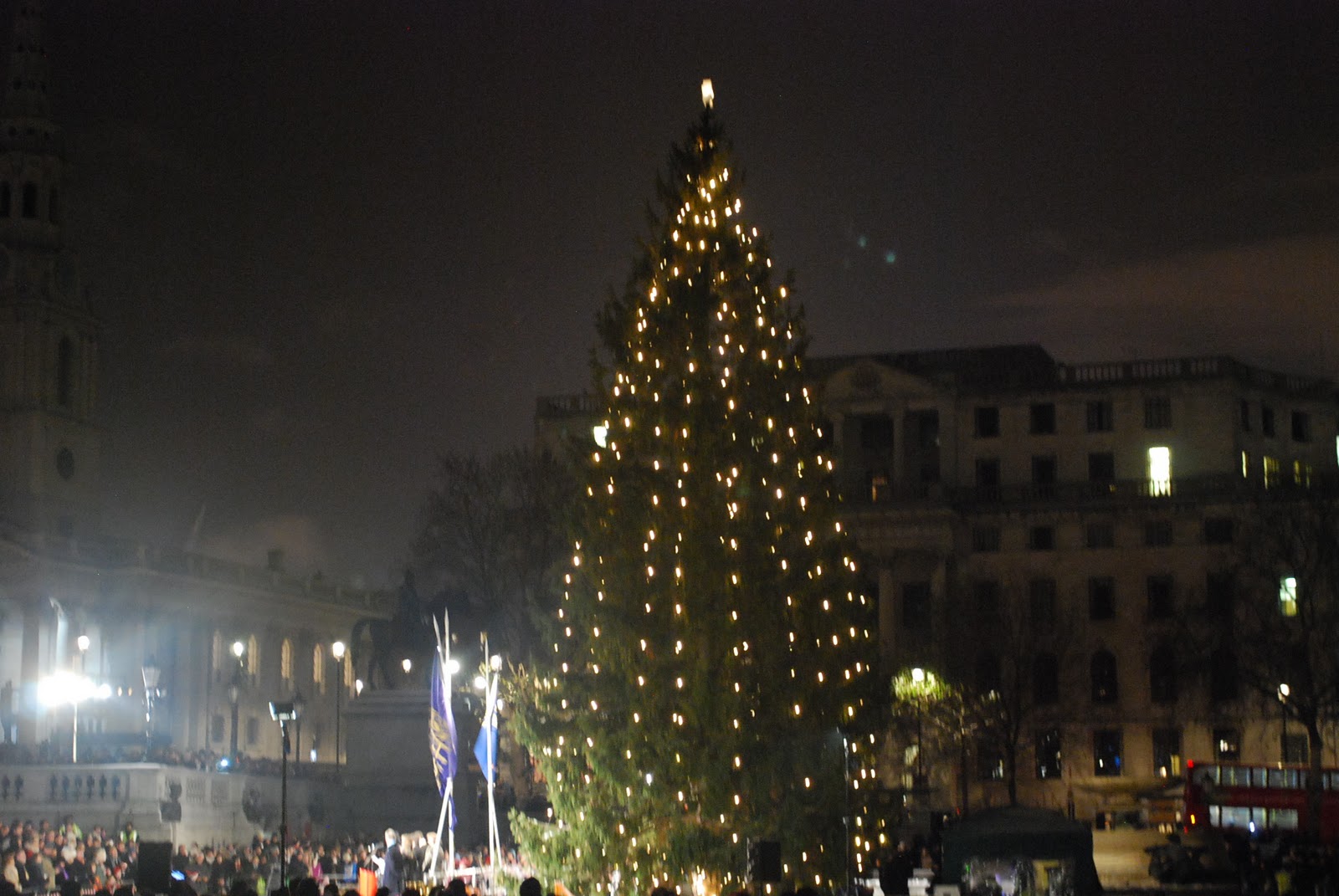 A woman's right to shoes: Det norske juletre i London