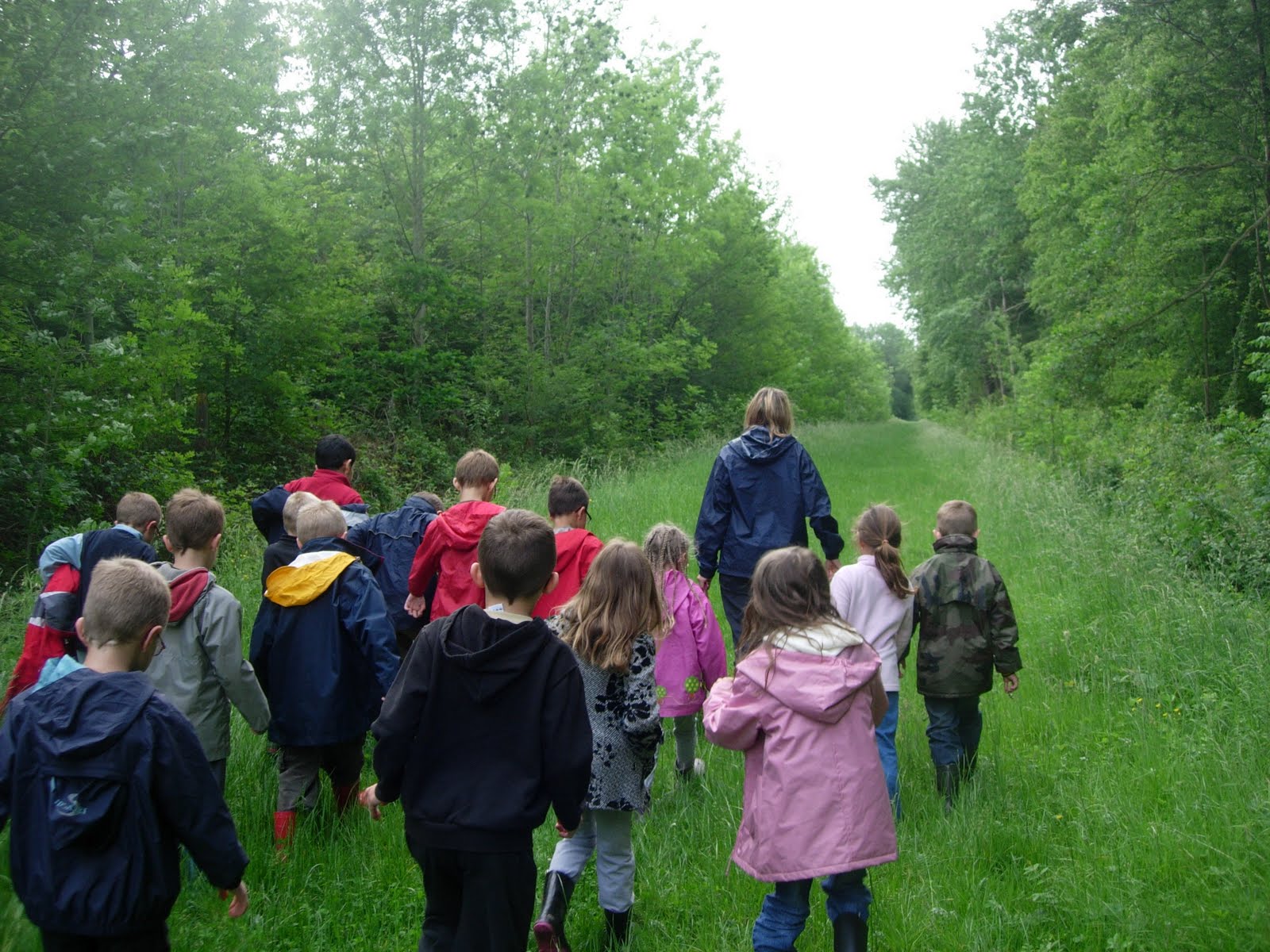 Classes Nature Base EEDF du Parc Morbecque: classe nature benoist mme ...