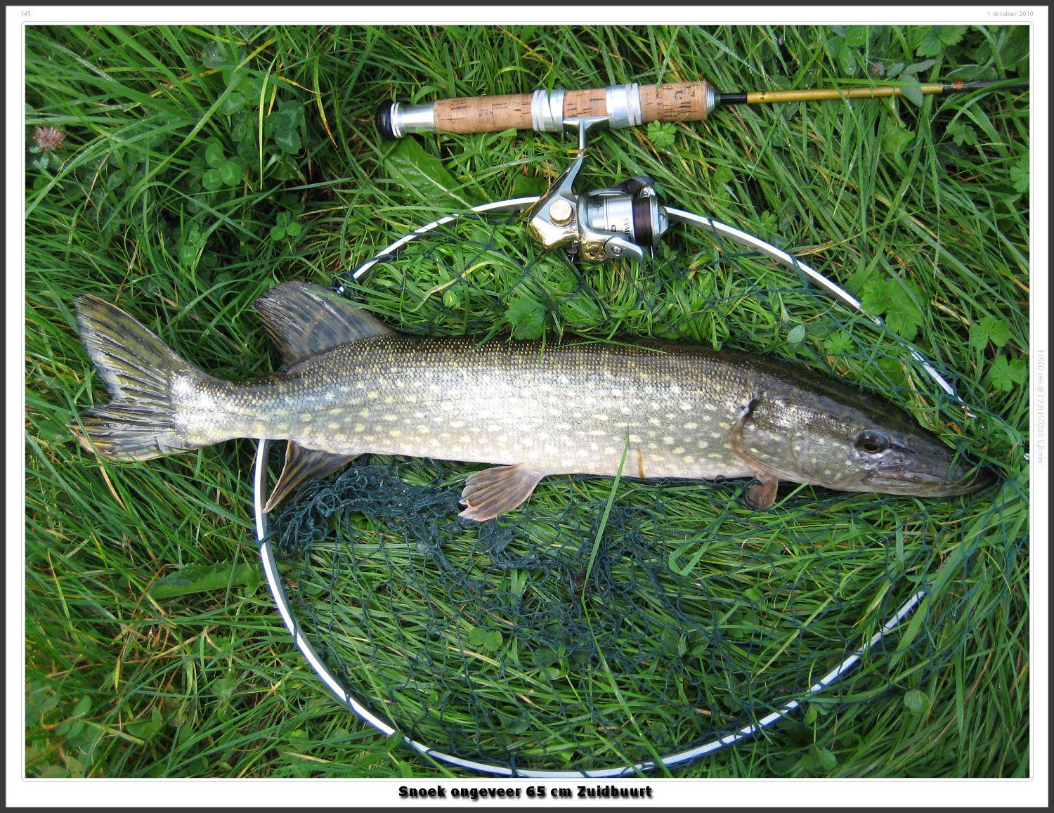 Ultralicht-vissen met Fairplay hengels: Vrije vrijdagmiddag: ultralicht ...