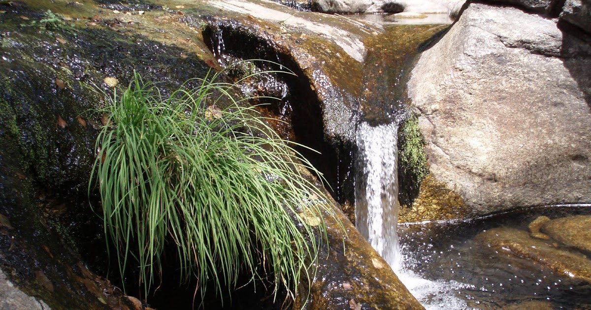 El Calambuco ~ El LoBo BoBo,... un blog de viajes