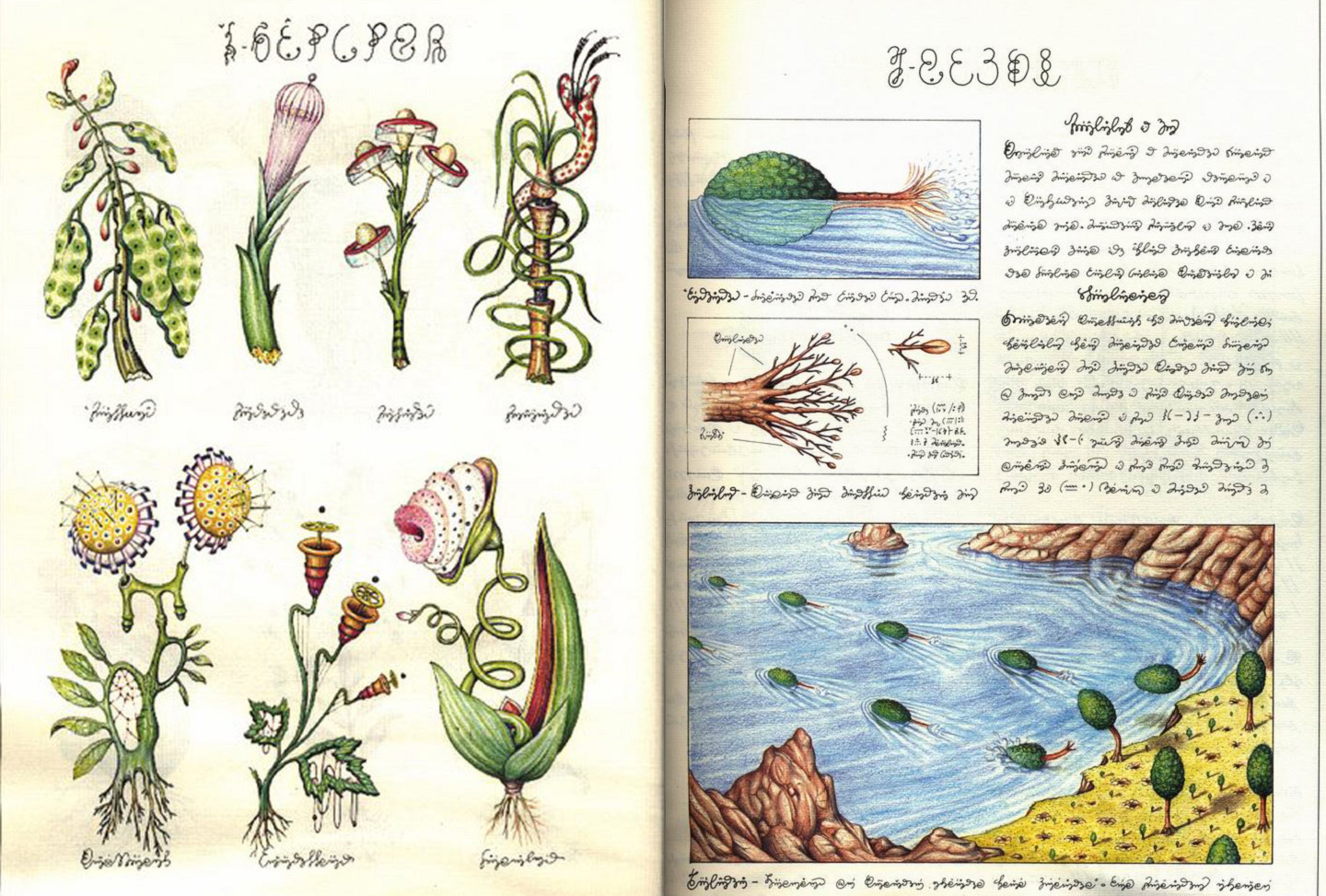Codex Seraphinianus : r/pics