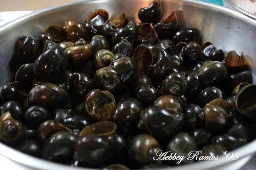 PAULETTE'S KITCHEN GARDEN: SUPPLEMENTARY FEEDS: GOLDEN KOHOL