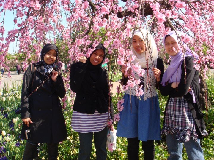KHABAR DARI MANJUNG: SAKURA LAGI...DI JEPUN...