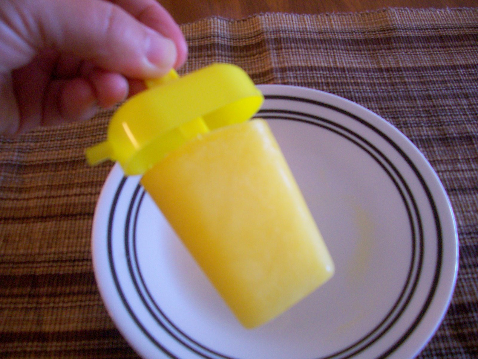 POPSICLES-PALETAS DE HELADO