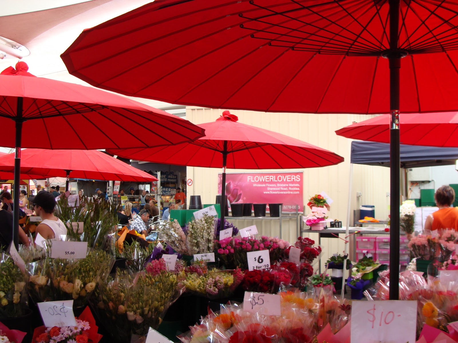 Weekend in Bris Vegas: Sunday Flea Markets- Rocklea