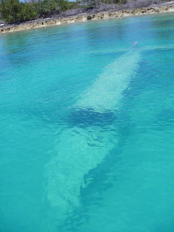 Into A New Horizon : Spanish Cay