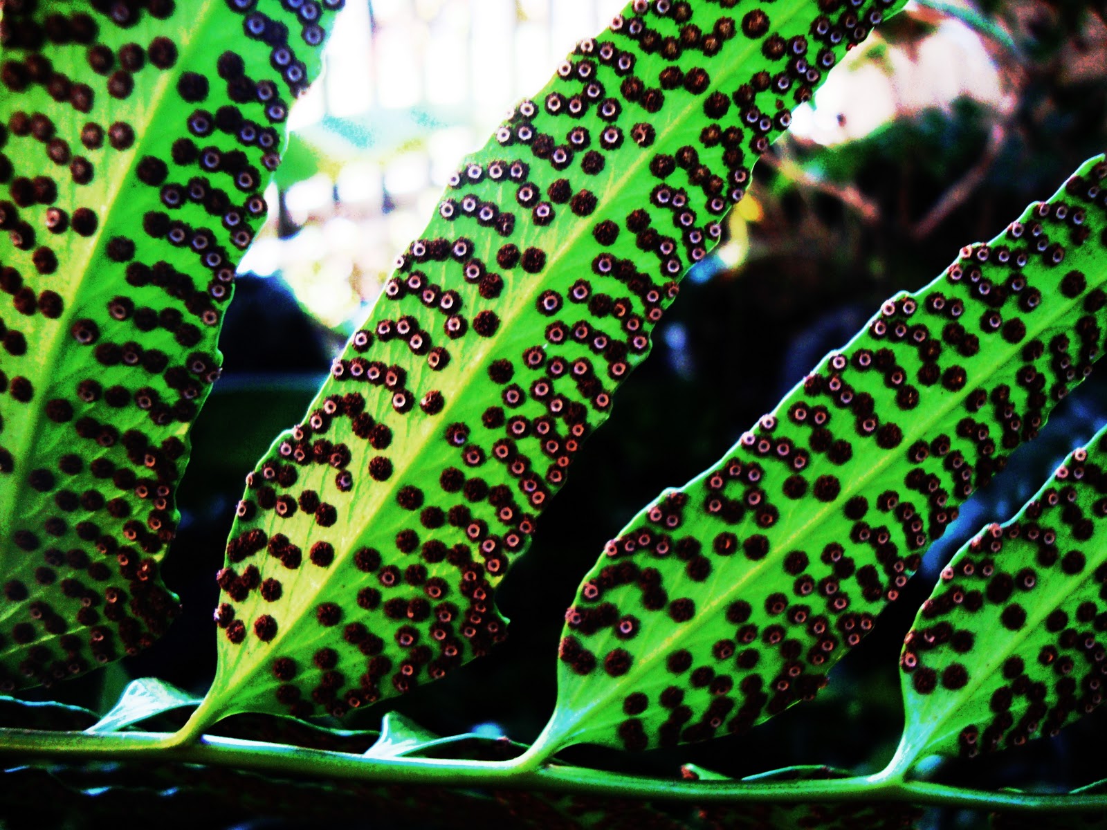 The way I see it - A photographers blog