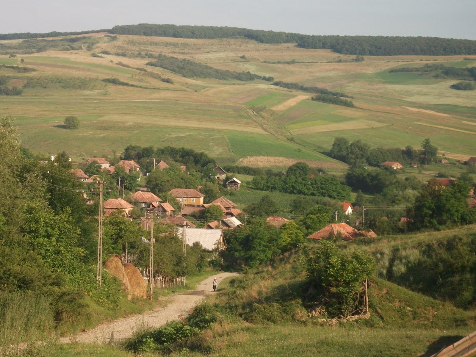 ovidiuimage: 4 zile in satul Legii,jud Cluj(3-6 iul.10)