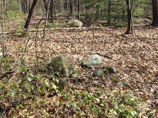 Rock Piles: Rock piles and headwaters of Mulpus Brook, Lunenburg, MA