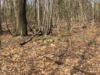 Rock Piles: Rock piles and headwaters of Mulpus Brook, Lunenburg, MA