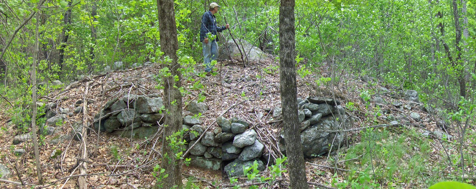 Rock Piles: Field clearing and wall enclosed rock piles