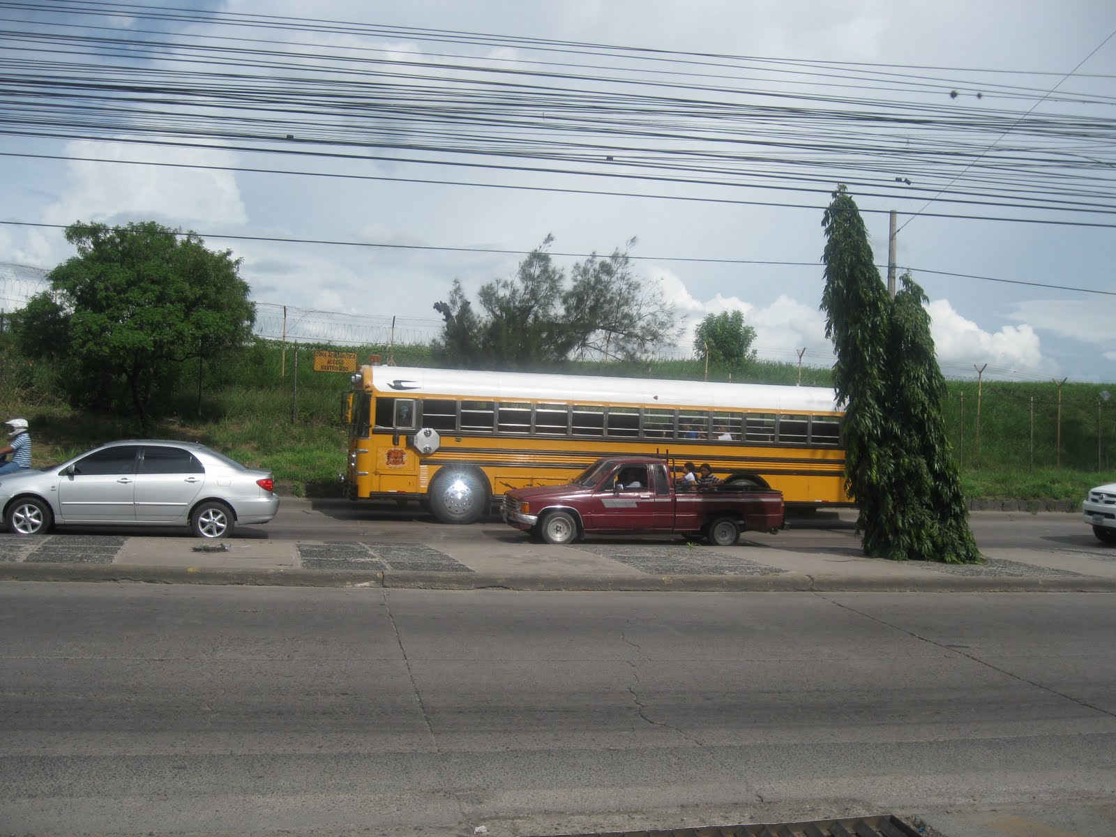 BUSES DE HONDURAS-HONDUBUS: BUSES DE TODOS LOS DIAS