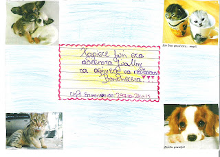 ΓΝΩΣΗ: ΑΦΙΣΕΣ ΓΙΑ ΤΑ ΑΔΕΣΠΟΤΑ ΖΩΑ.....