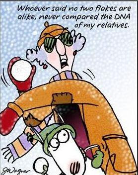 Life According to Jan and Jer: A Little Winter Cheer with Maxine