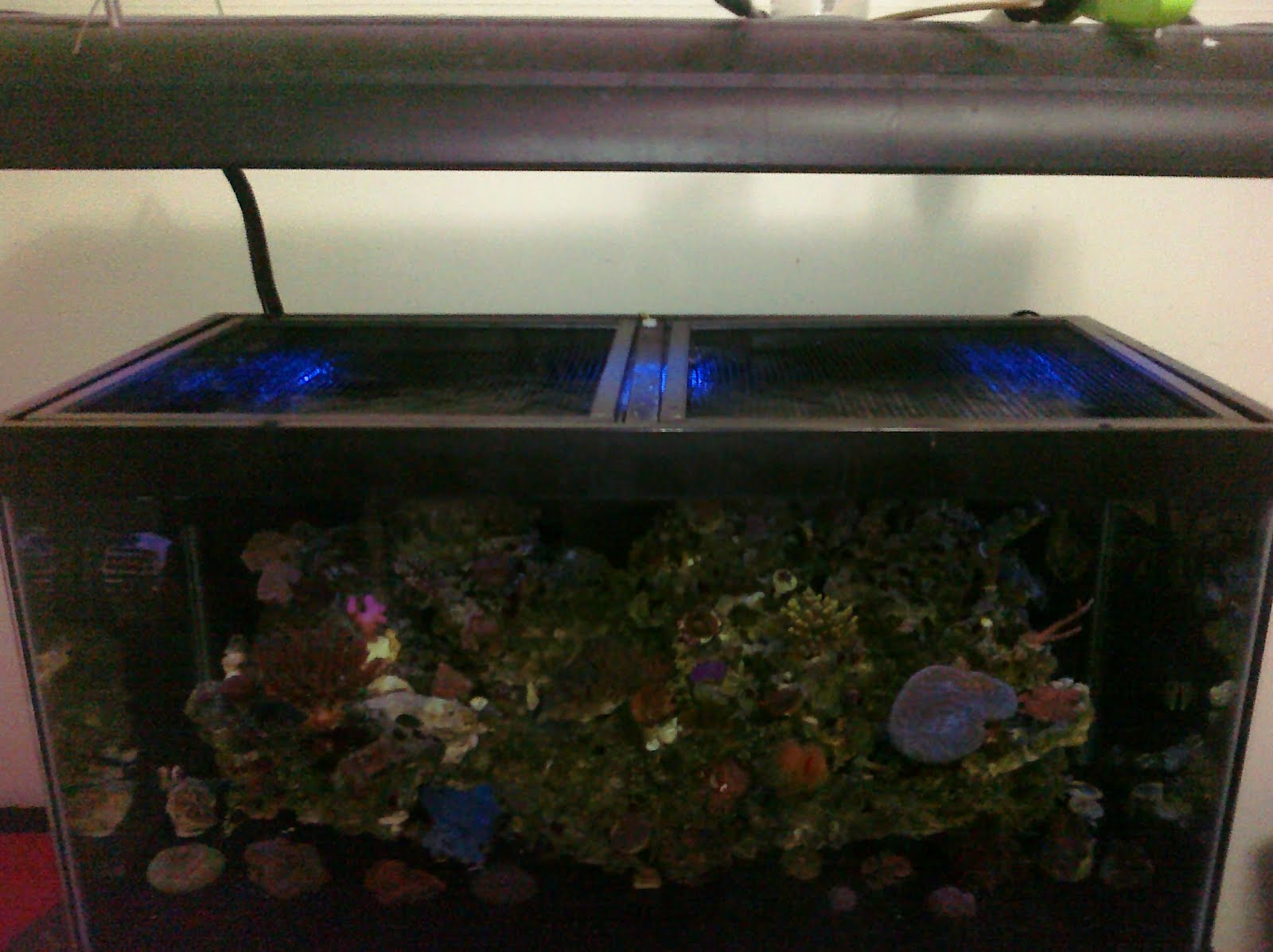 MERC + BRAD'S 50G REEF TANK: NEW DIY TANK COVERS!