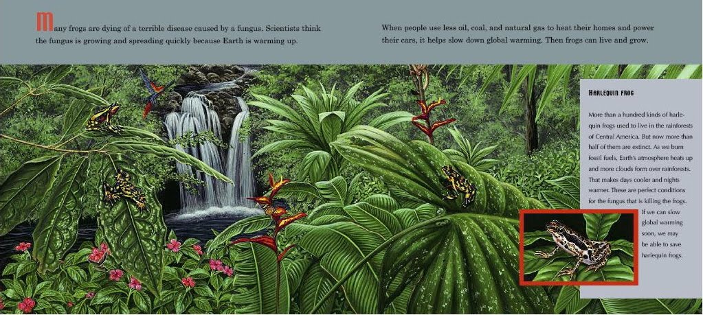 Beth Fish Reads: Review: A Place for Frogs by Melissa Stewart