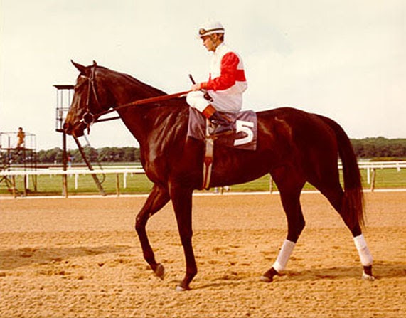 The Elegant Astronaut: Ruffian in Command